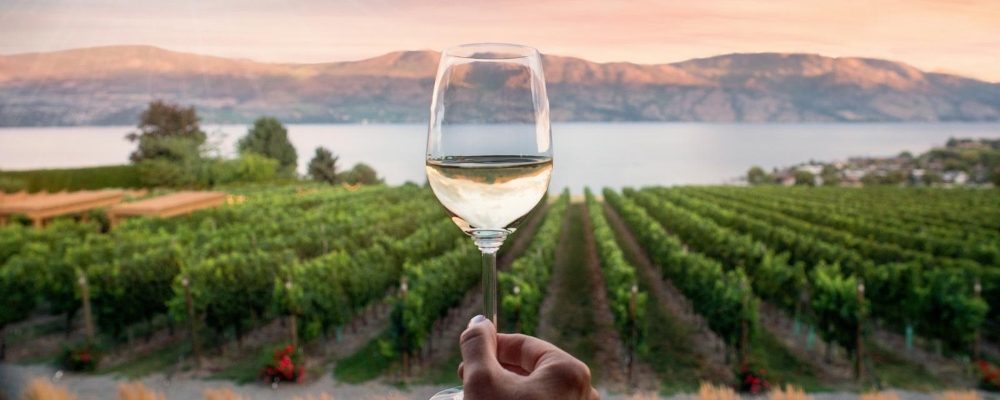 Sonia Mason *PREC : RE/MAX Wine Capital Realty : Home